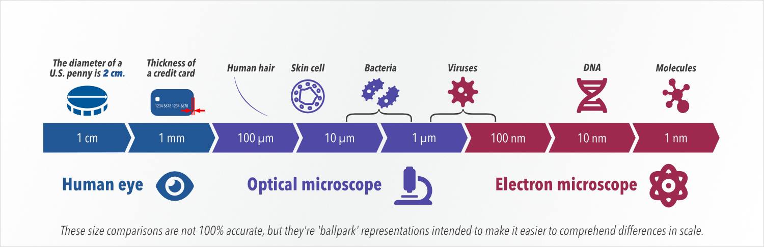 Nano or No-No? Hydroxyapatite Particle Size Matters... - OraWellness